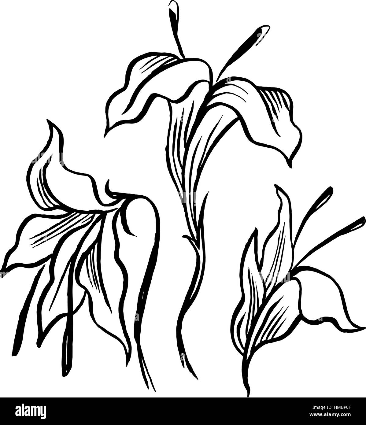 Contour images hi-res stock photography and images - Alamy