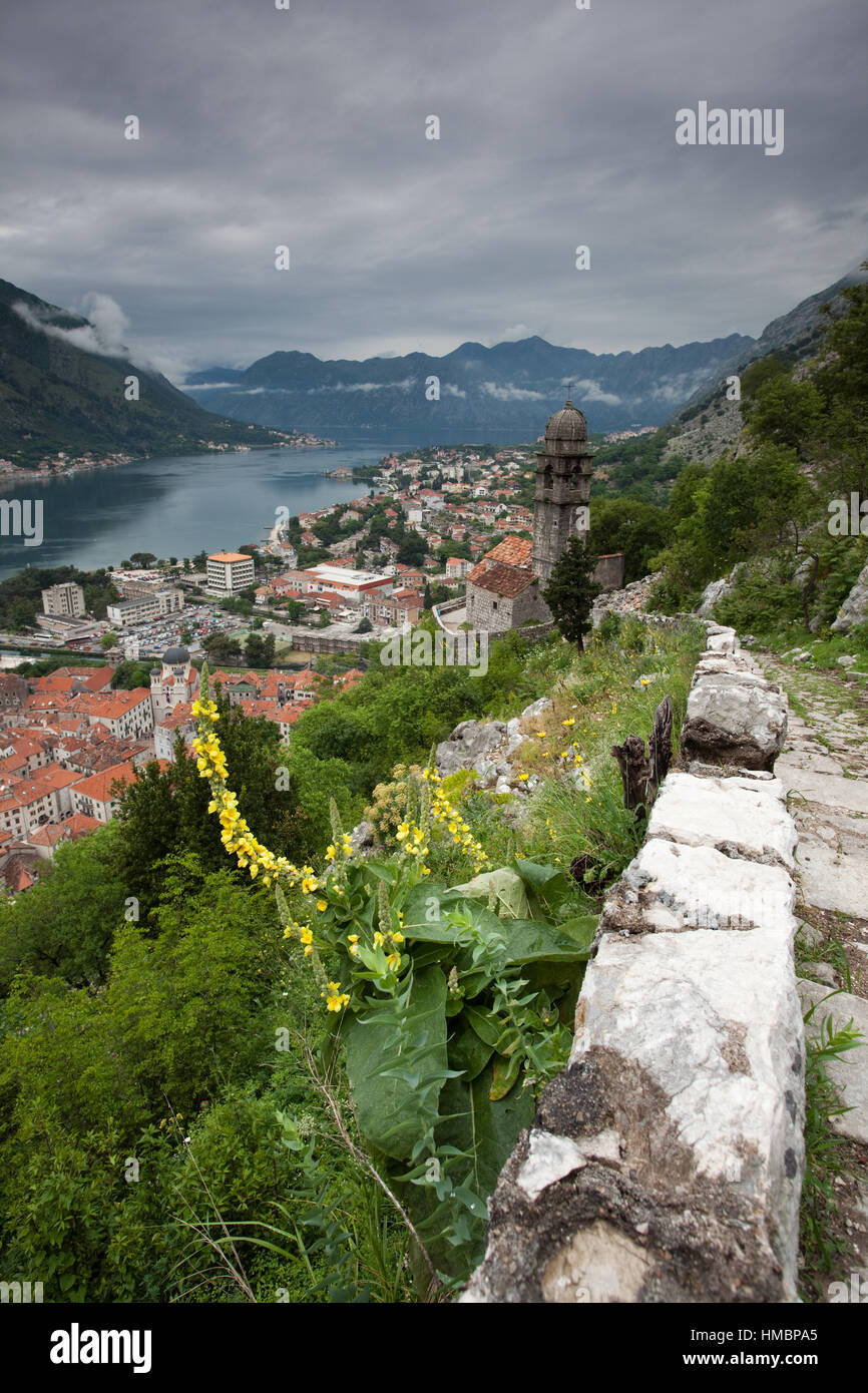 Kotor attractions hi-res stock photography and images - Alamy