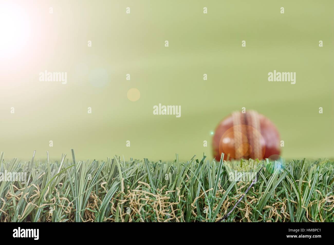 A studio photo of artificial grass with a blue background Stock Photo ...