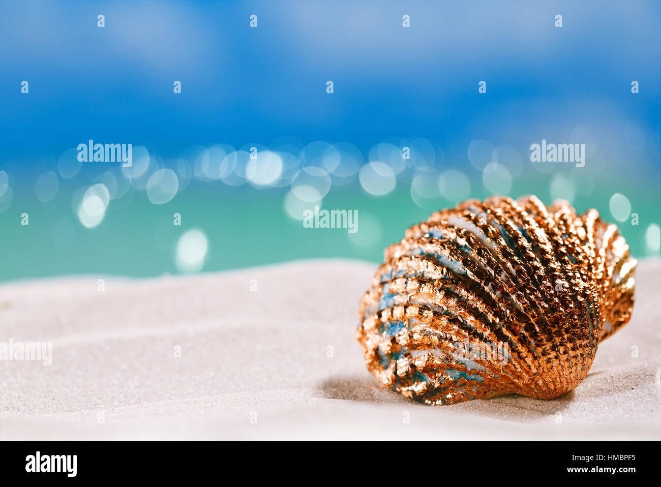 golden tropical shell on white Florida beach sand under sun light ...