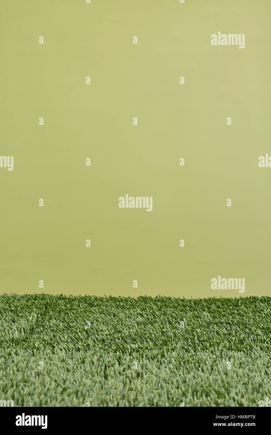 A studio photo of artificial grass with a blue background Stock Photo ...