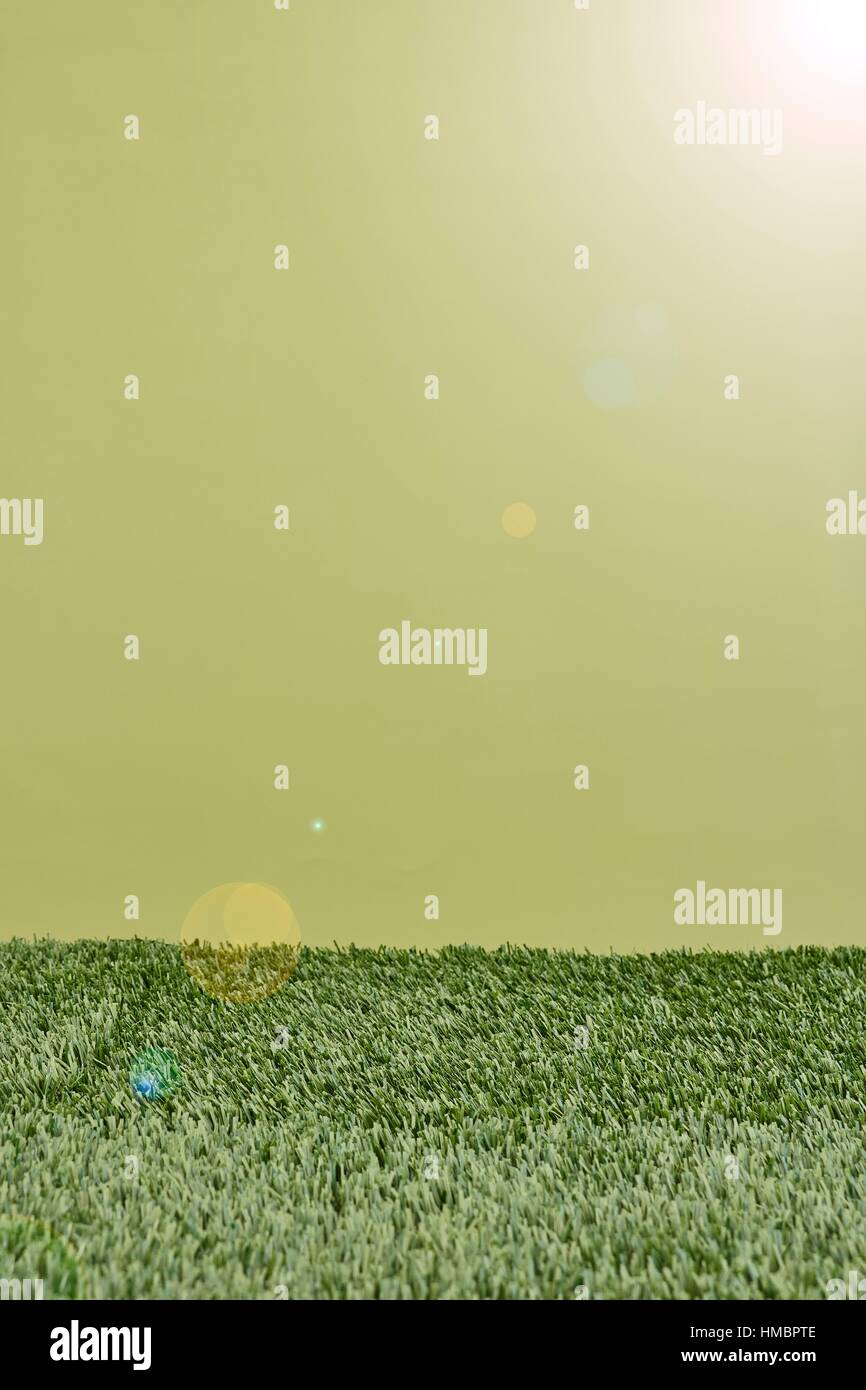 A studio photo of artificial grass with a blue background Stock Photo ...