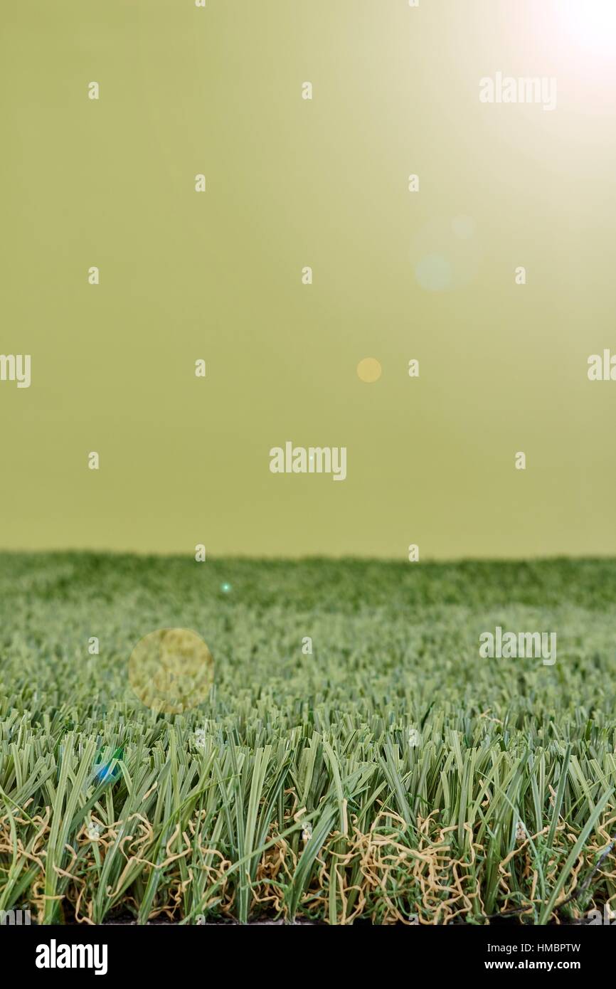 A studio photo of artificial grass with a blue background Stock Photo ...