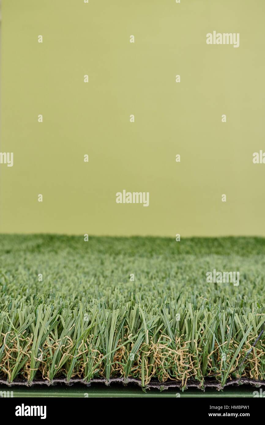 A studio photo of artificial grass with a blue background Stock Photo ...