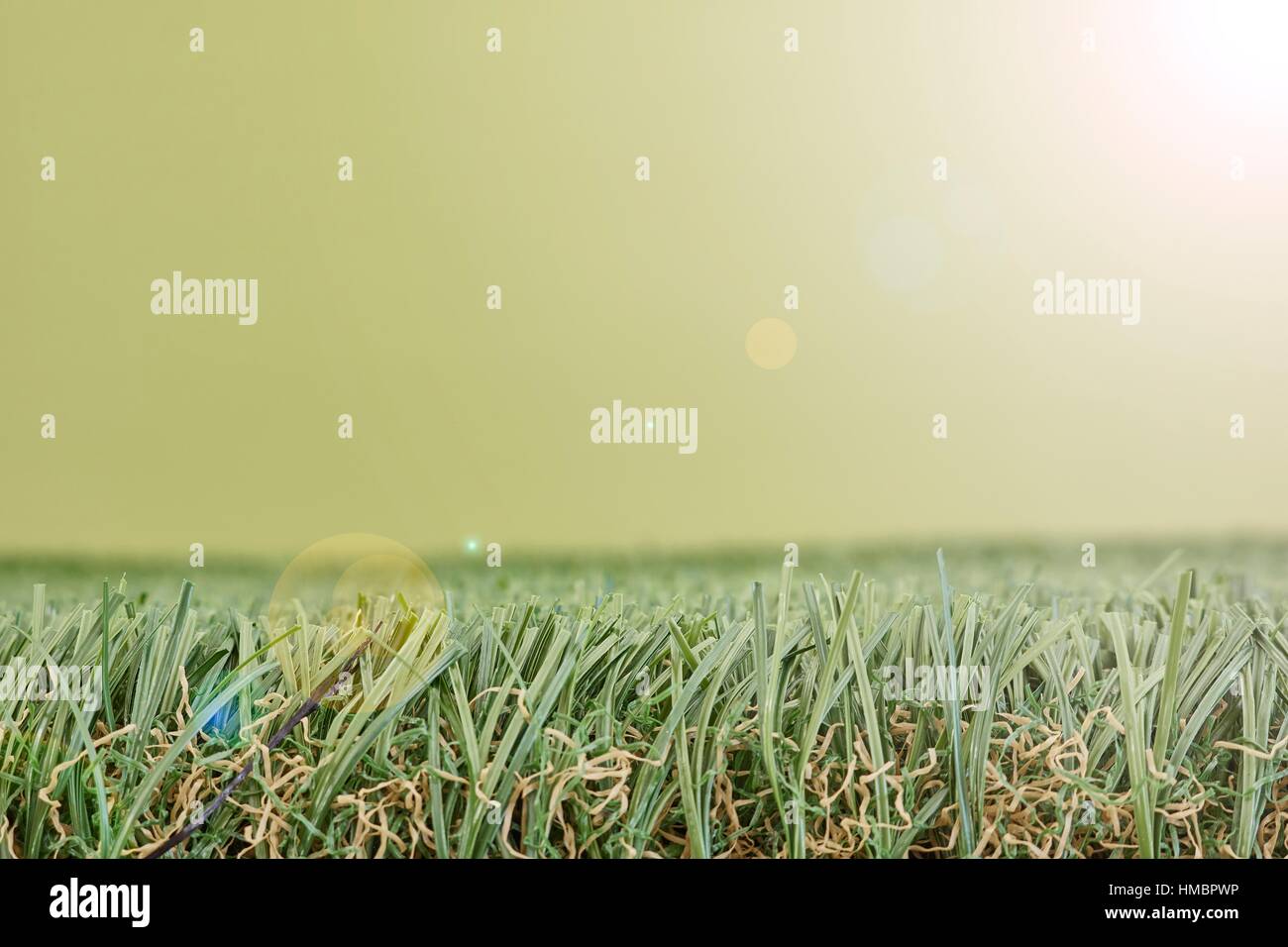 A studio photo of artificial grass with a blue background Stock Photo ...