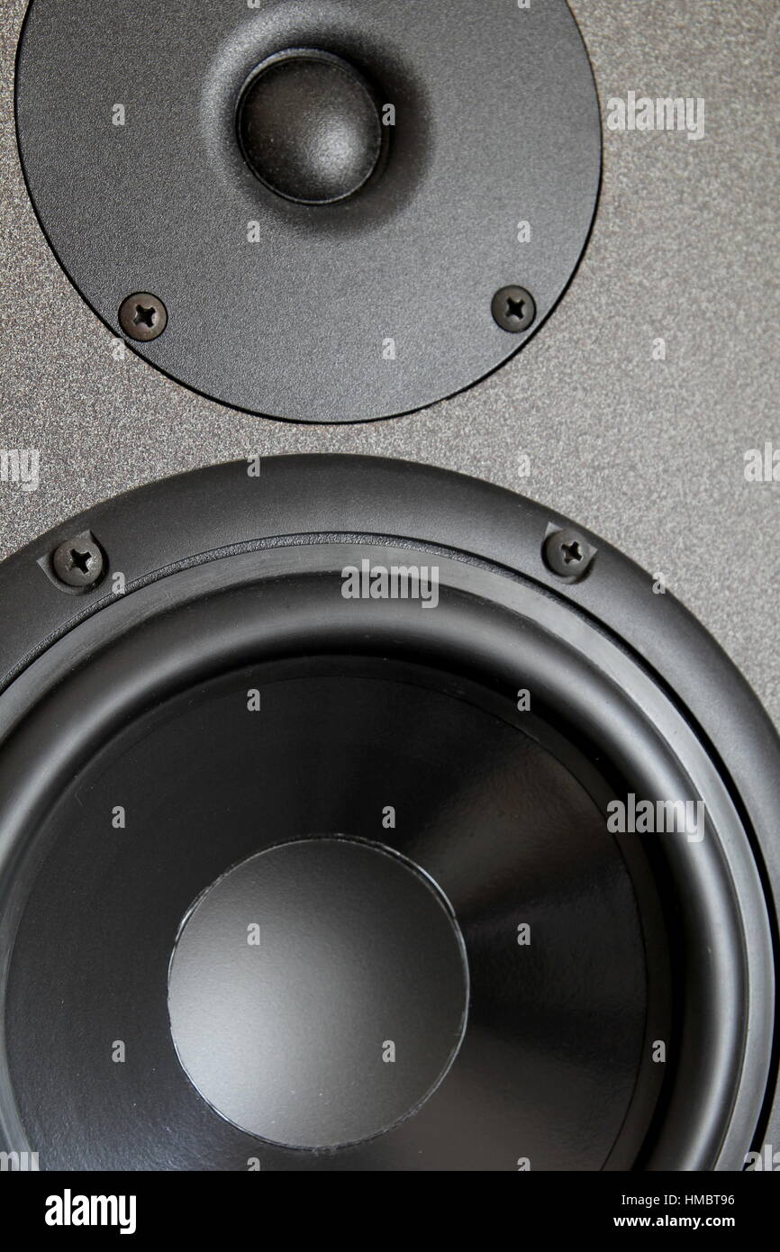 Woofer or bass cone, and tweeter of a high end hi-fi speaker cabinet ...