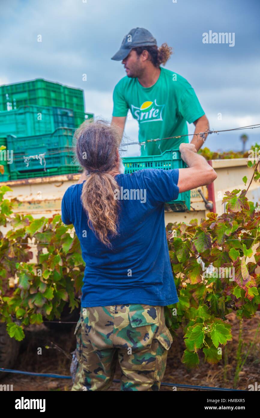 Season workers hi-res stock photography and images - Alamy