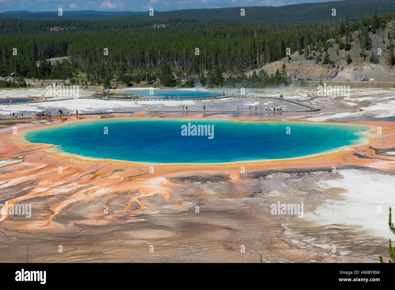 Grand Prismatic Spring Bison High Resolution Stock Photography and ...