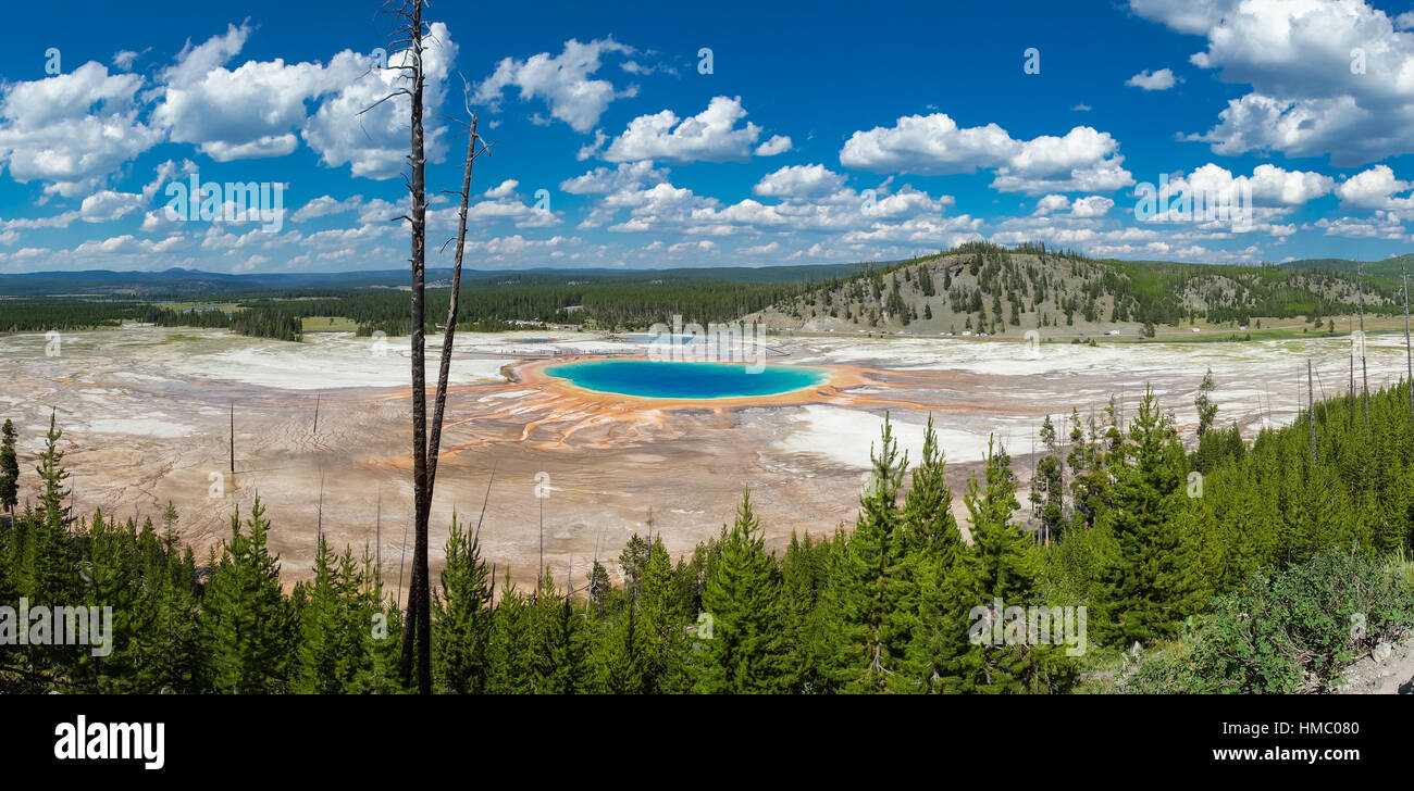 Grand Prismatic Spring Bison High Resolution Stock Photography and ...