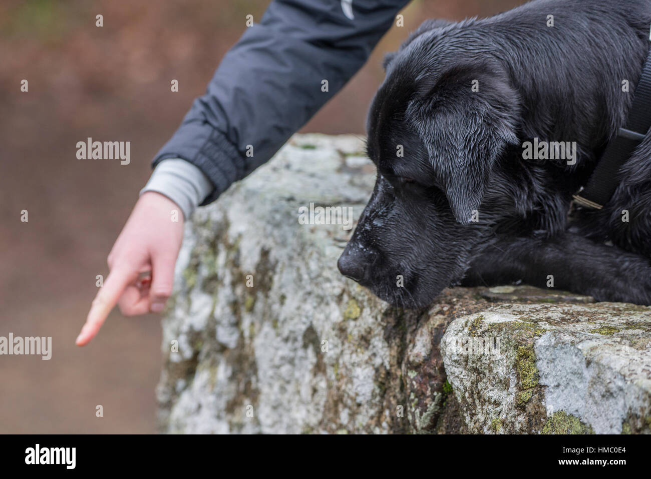 Black gun owner hi-res stock photography and images - Alamy