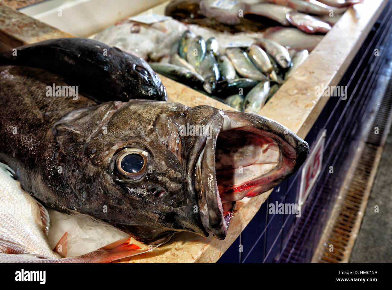 Lagos Fish Market High Resolution Stock Photography and Images - Alamy