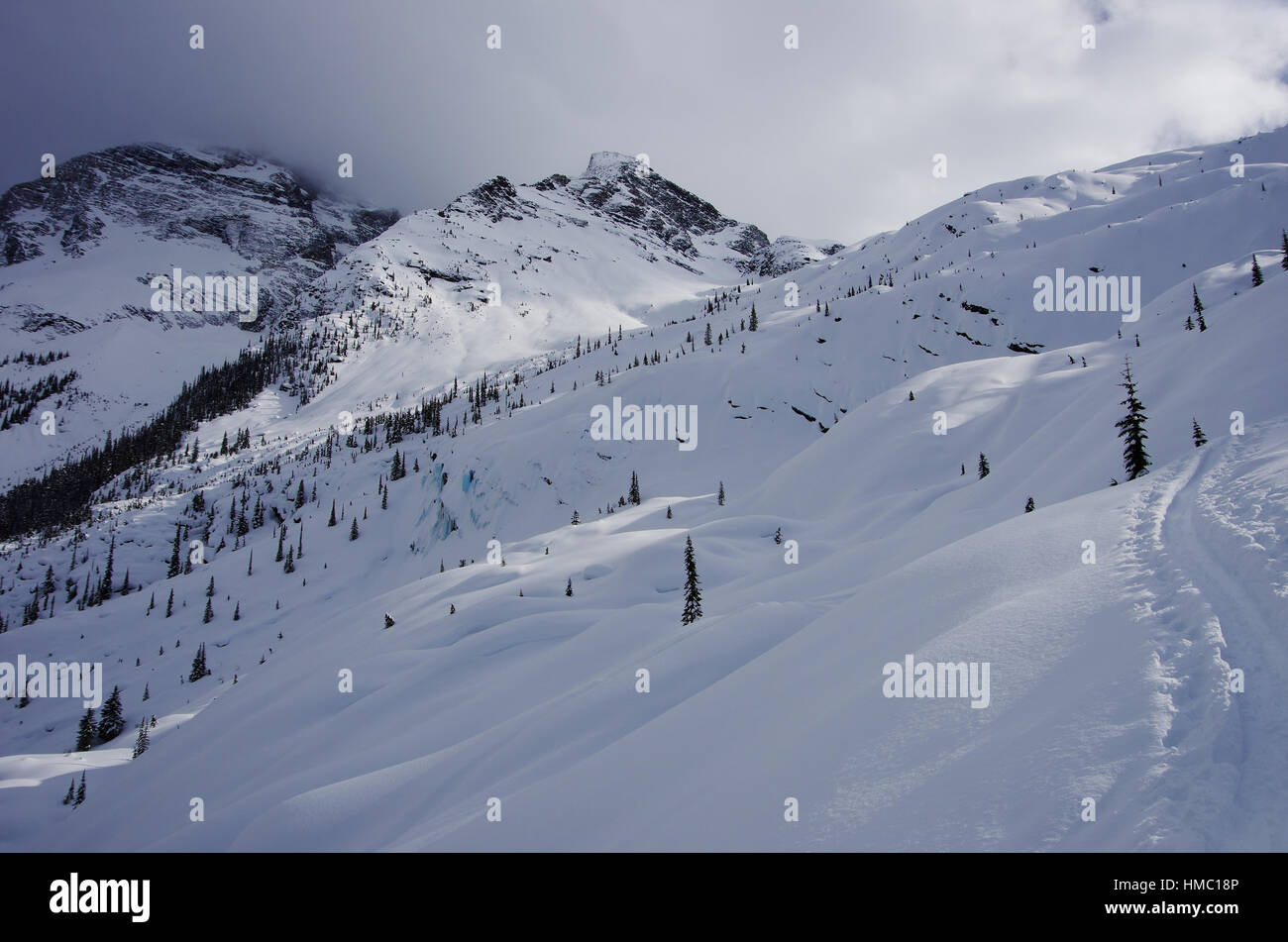 Roger pass hi-res stock photography and images - Alamy