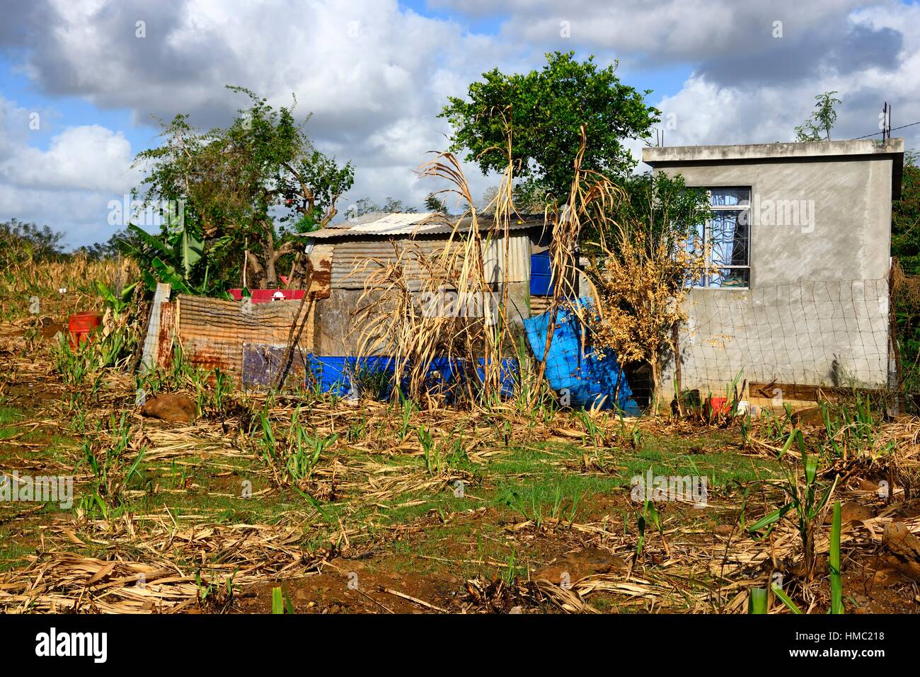 Poor Farm High Resolution Stock Photography and Images - Alamy