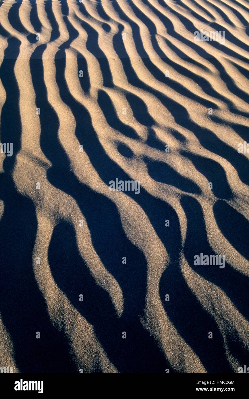 Sand dunes wilderness study area hi-res stock photography and images ...