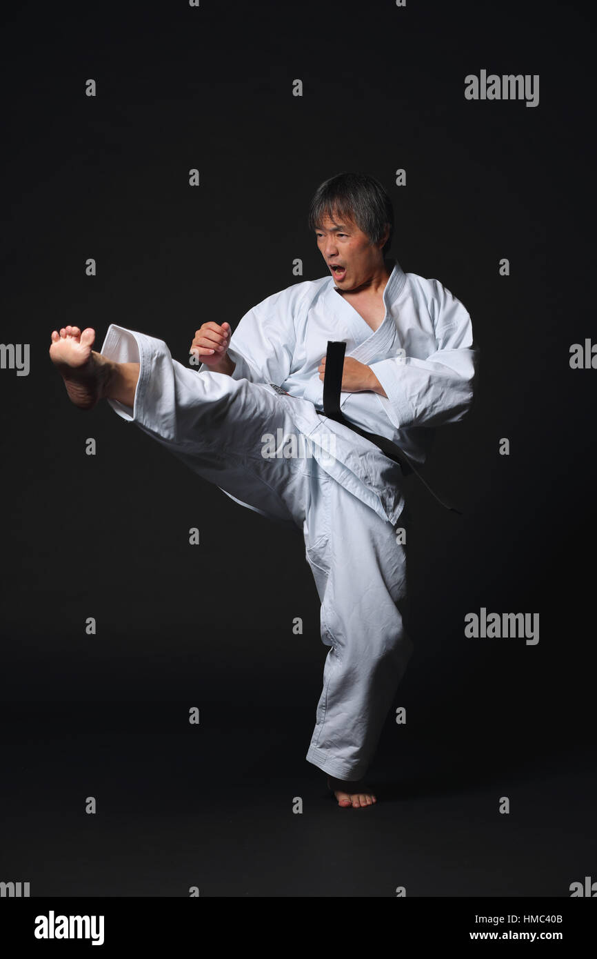 Japanese karate master training Stock Photo - Alamy