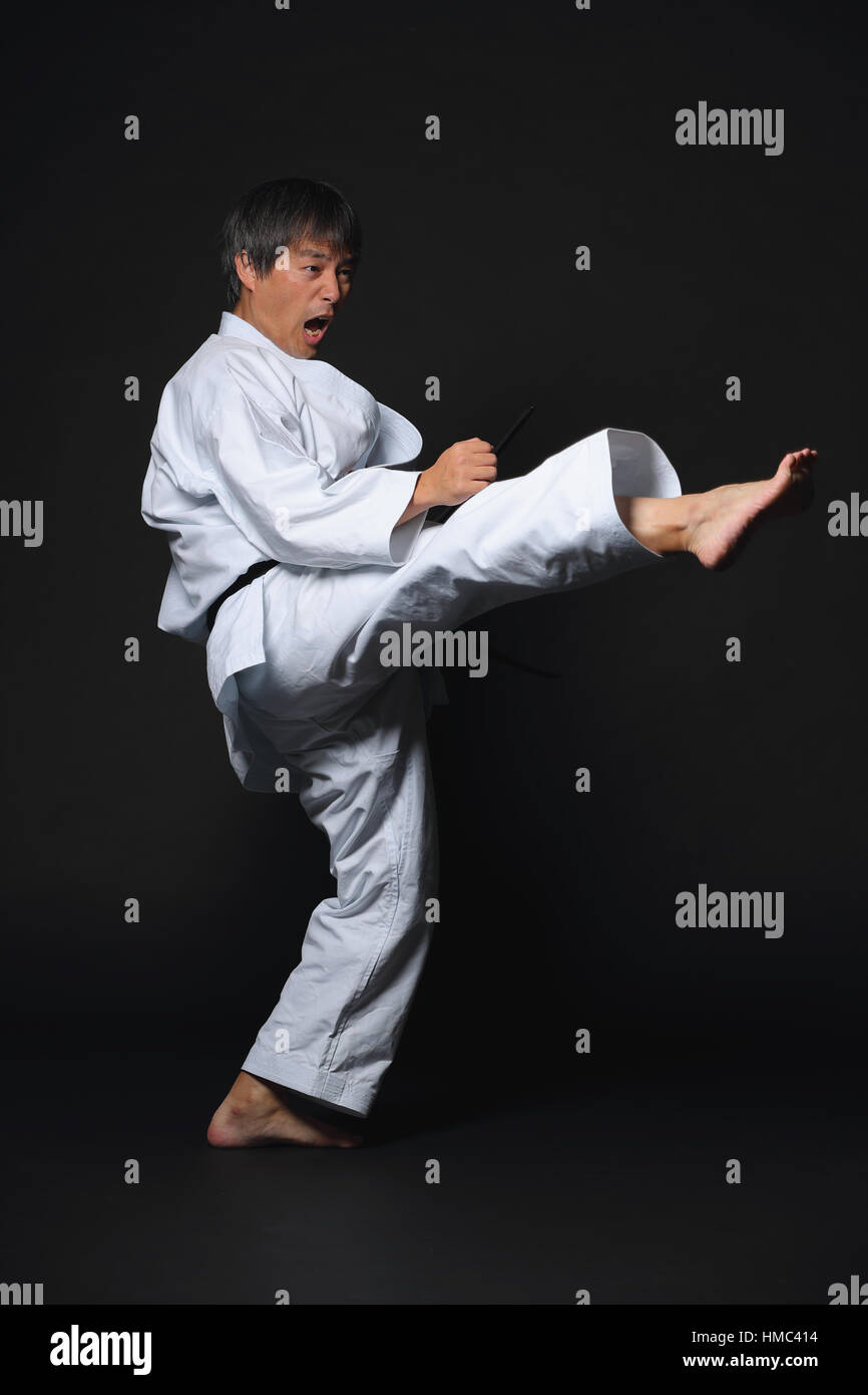Japanese karate master training Stock Photo - Alamy