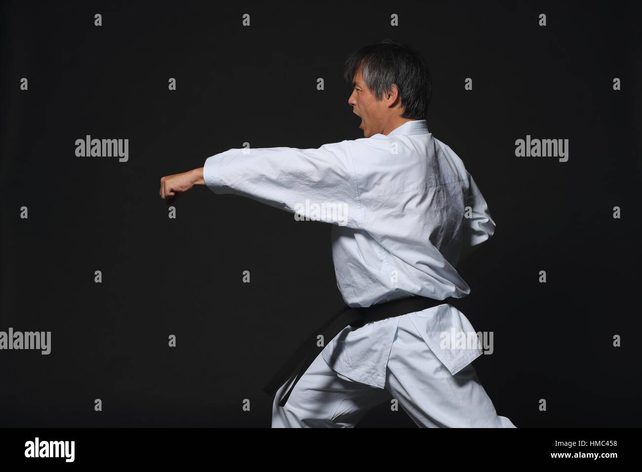 Japanese karate master training Stock Photo - Alamy