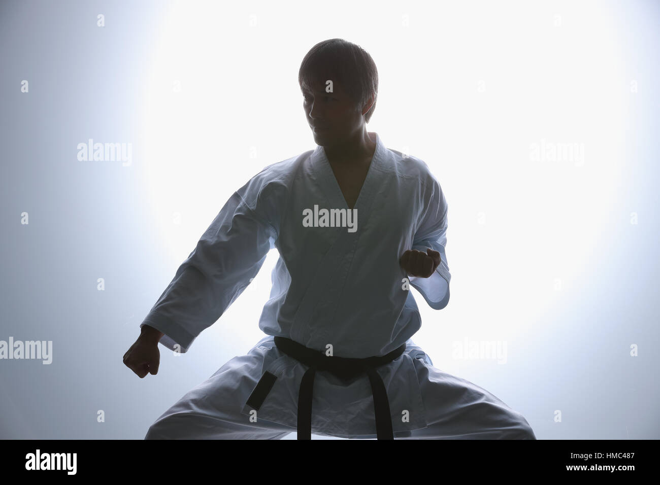 Japanese karate master training Stock Photo - Alamy