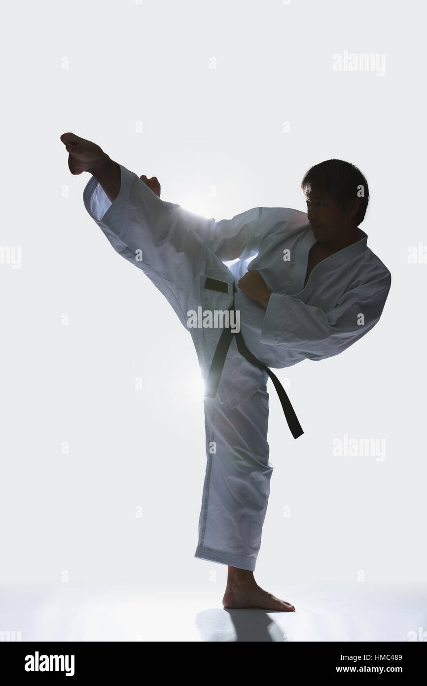 Japanese karate master training Stock Photo - Alamy