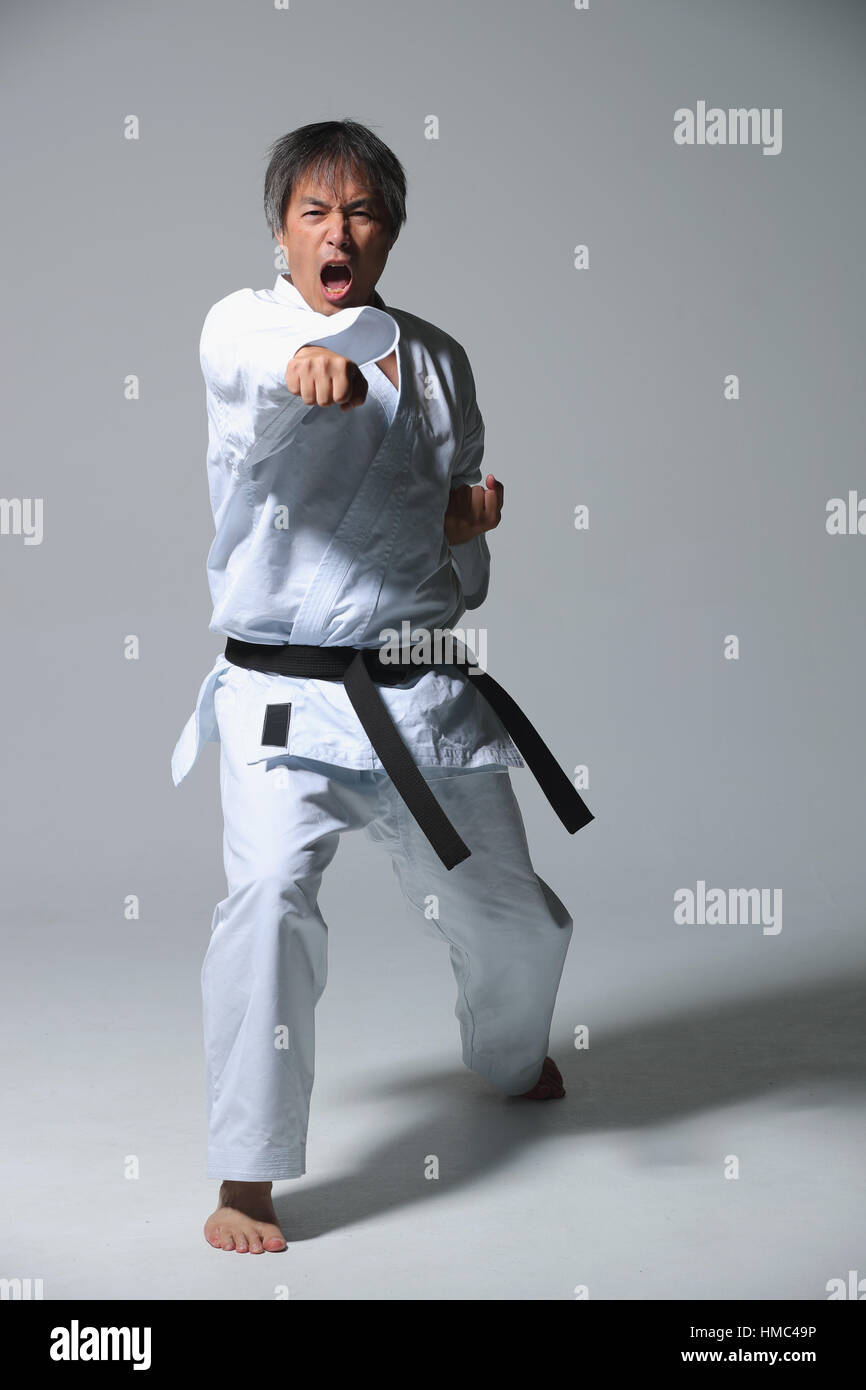 Japanese karate master training Stock Photo - Alamy