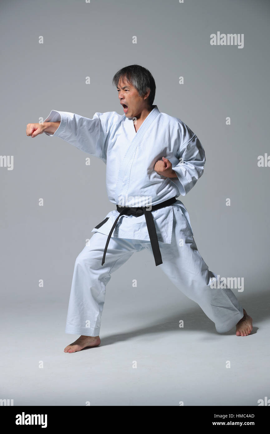 Japanese karate master training Stock Photo - Alamy