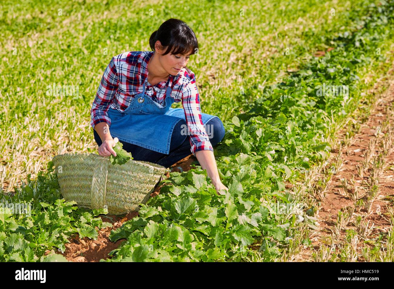 Raab hi-res stock photography and images - Alamy