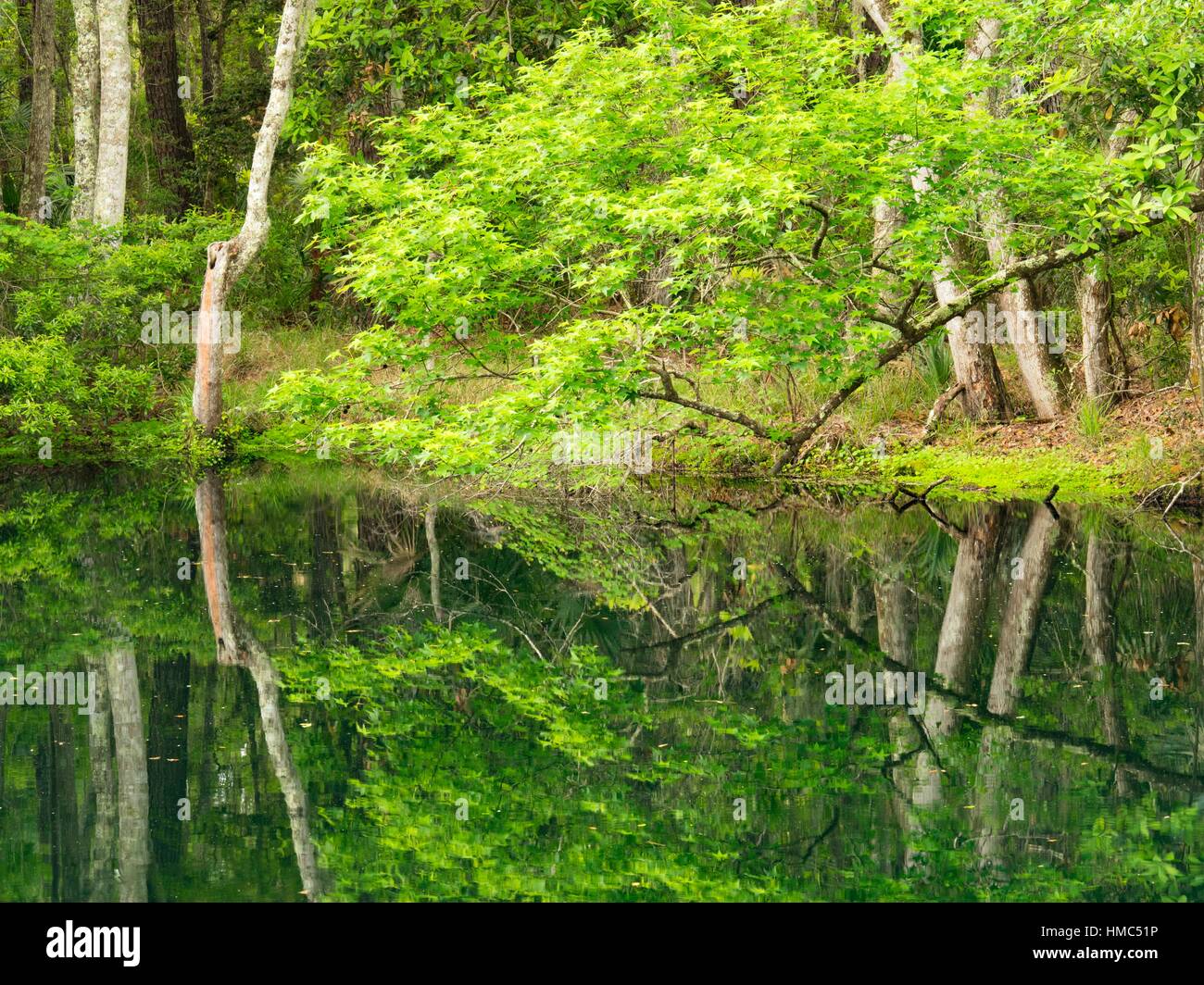 Darien, georgia usa hi-res stock photography and images - Alamy