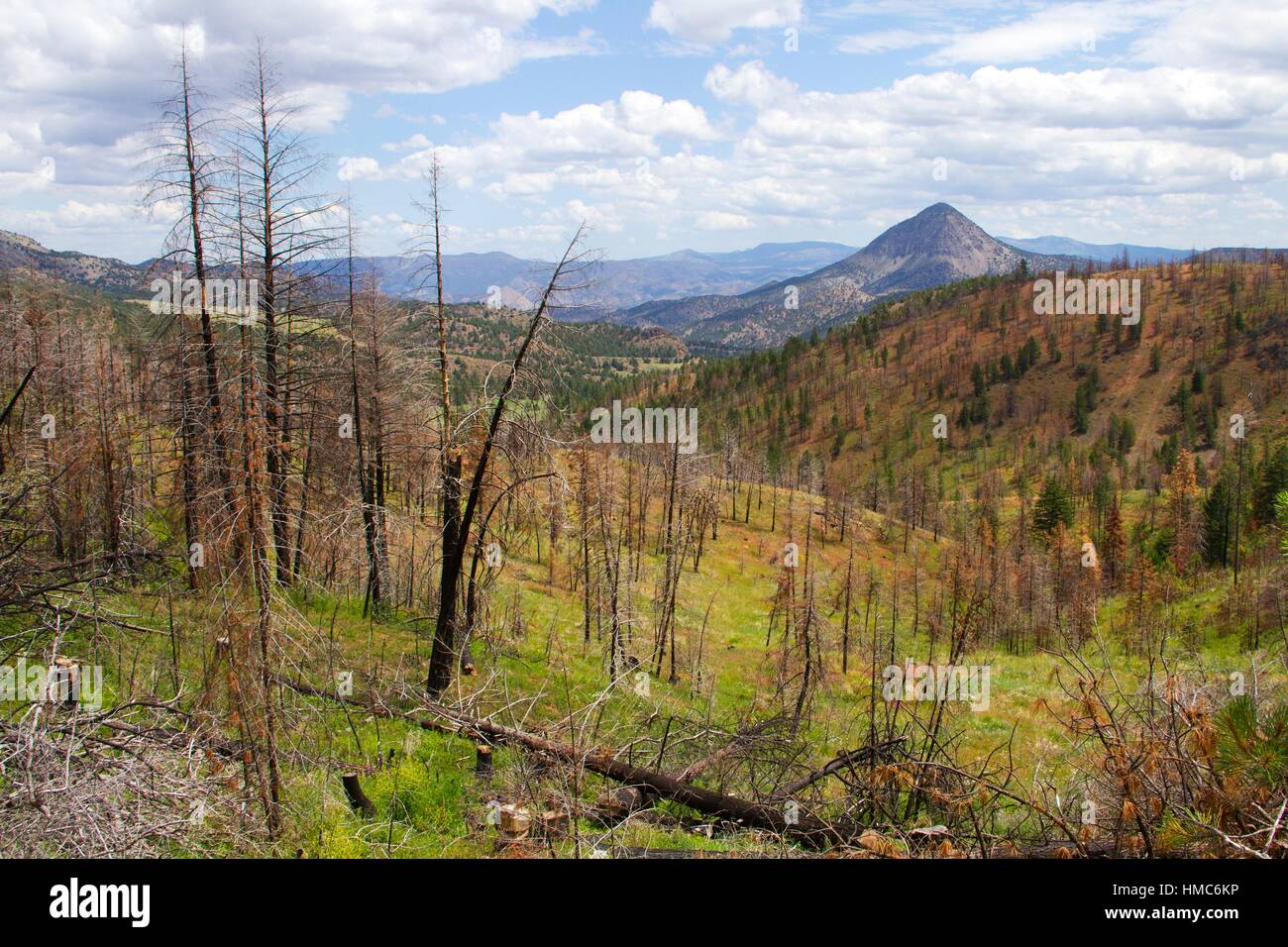 Ochoco mountains hi-res stock photography and images - Alamy