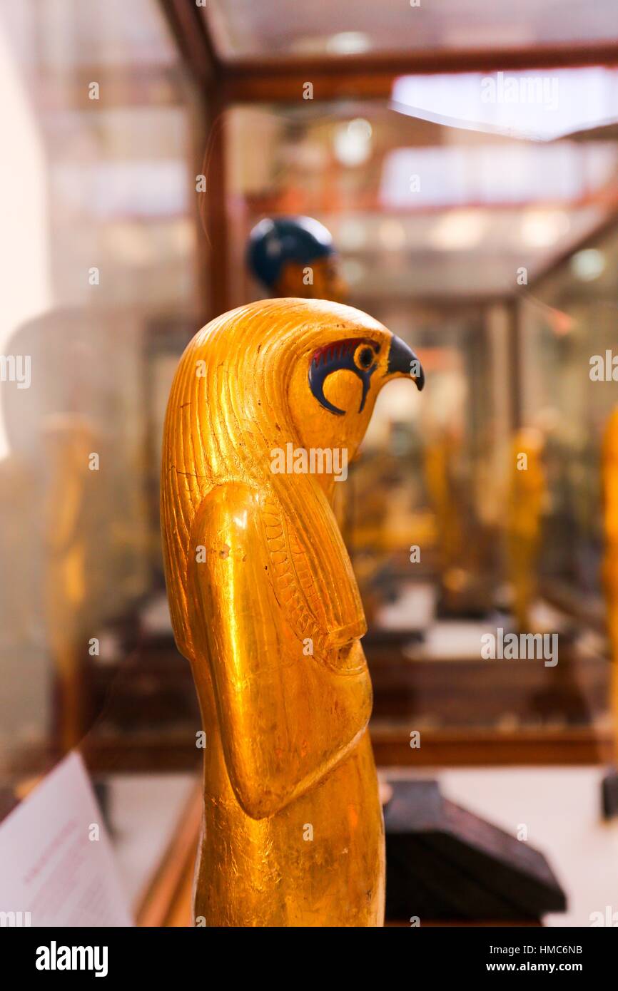 Jackal horus hi-res stock photography and images - Alamy