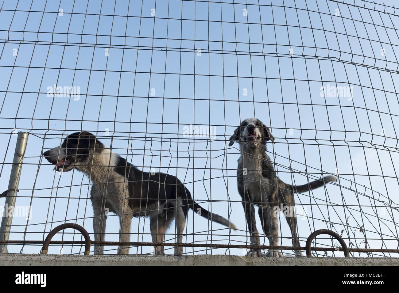 Locked image hi-res stock photography and images - Alamy