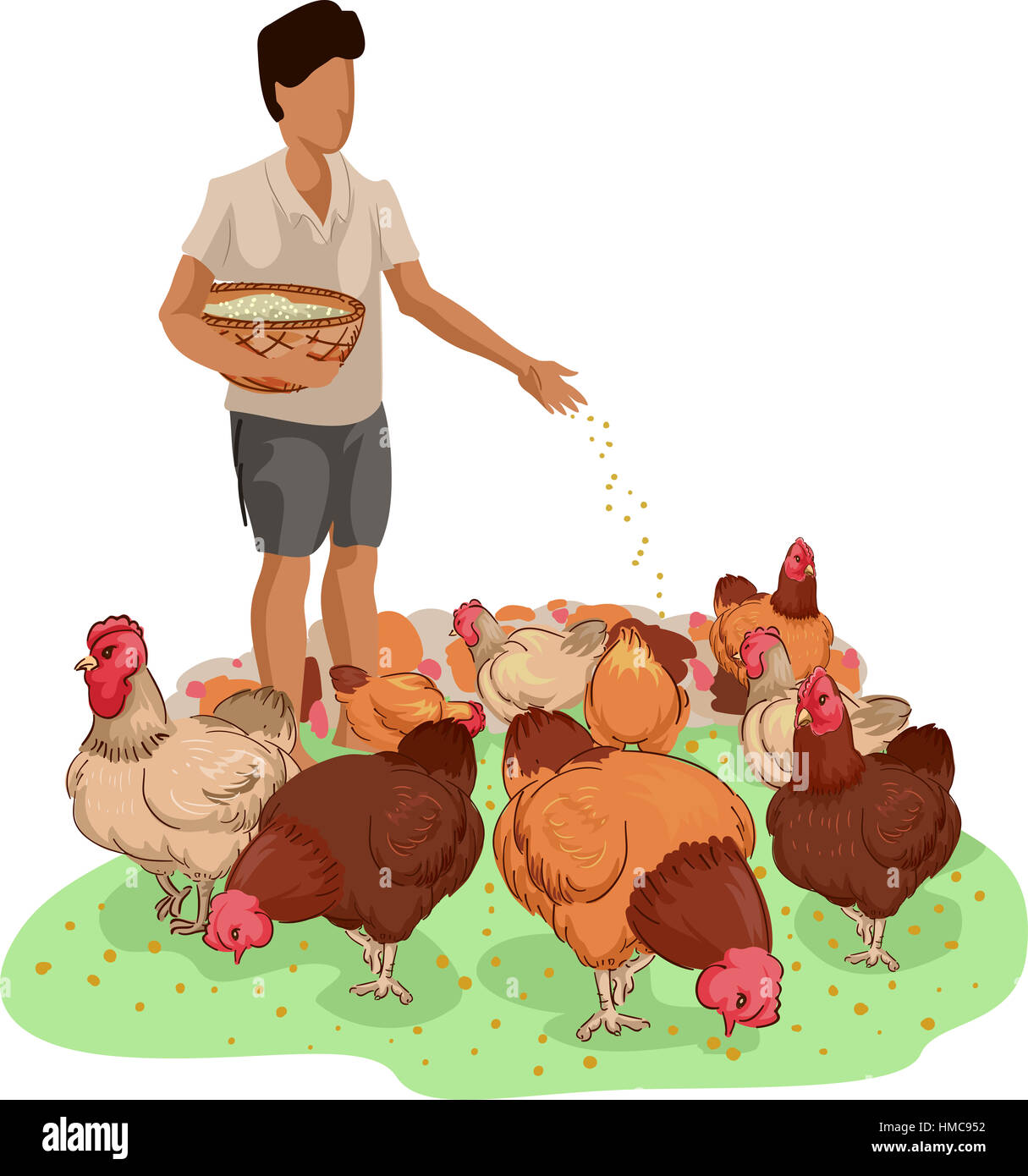 Illustration of a Farm Boy Carrying a Basket of Feeds While Feeding ...