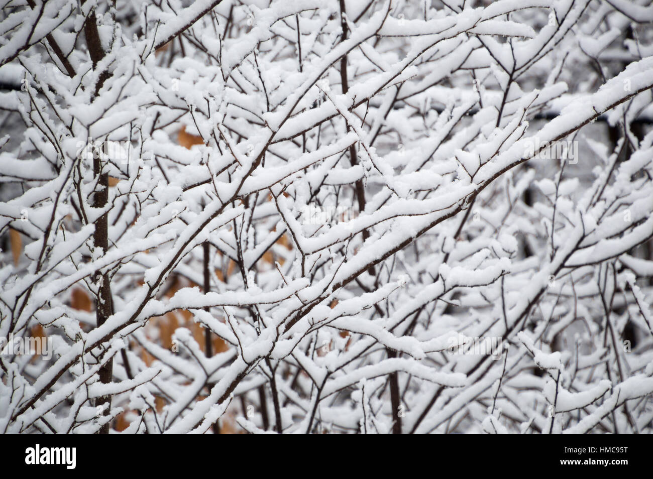 This abstract design is random and geometric and quite pretty. It shows ...