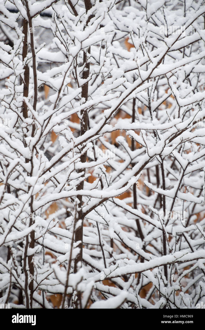 This abstract design is random and geometric and quite pretty. It shows ...