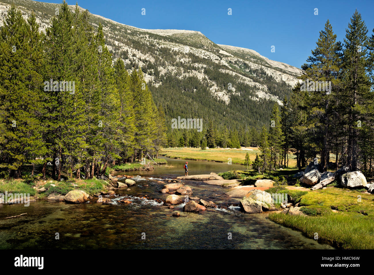 Lyell canyon trail hi-res stock photography and images - Alamy