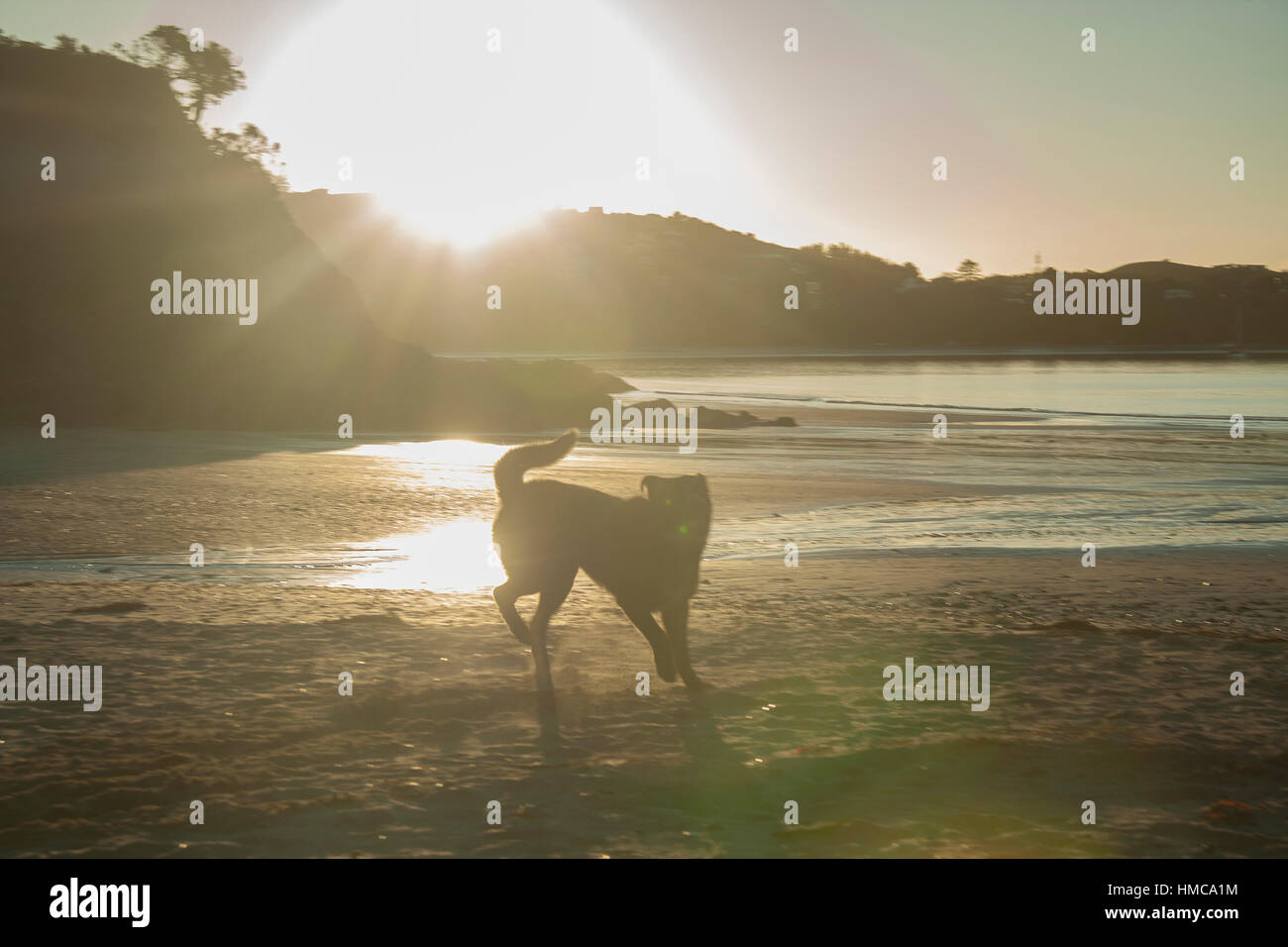 Sunset beach backgrounds hi-res stock photography and images - Alamy