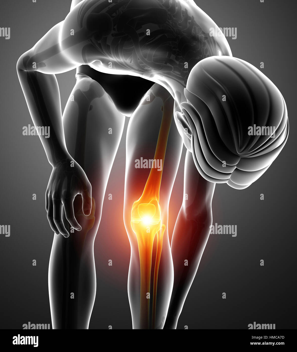 human body anatomy with joint pain Stock Photo - Alamy