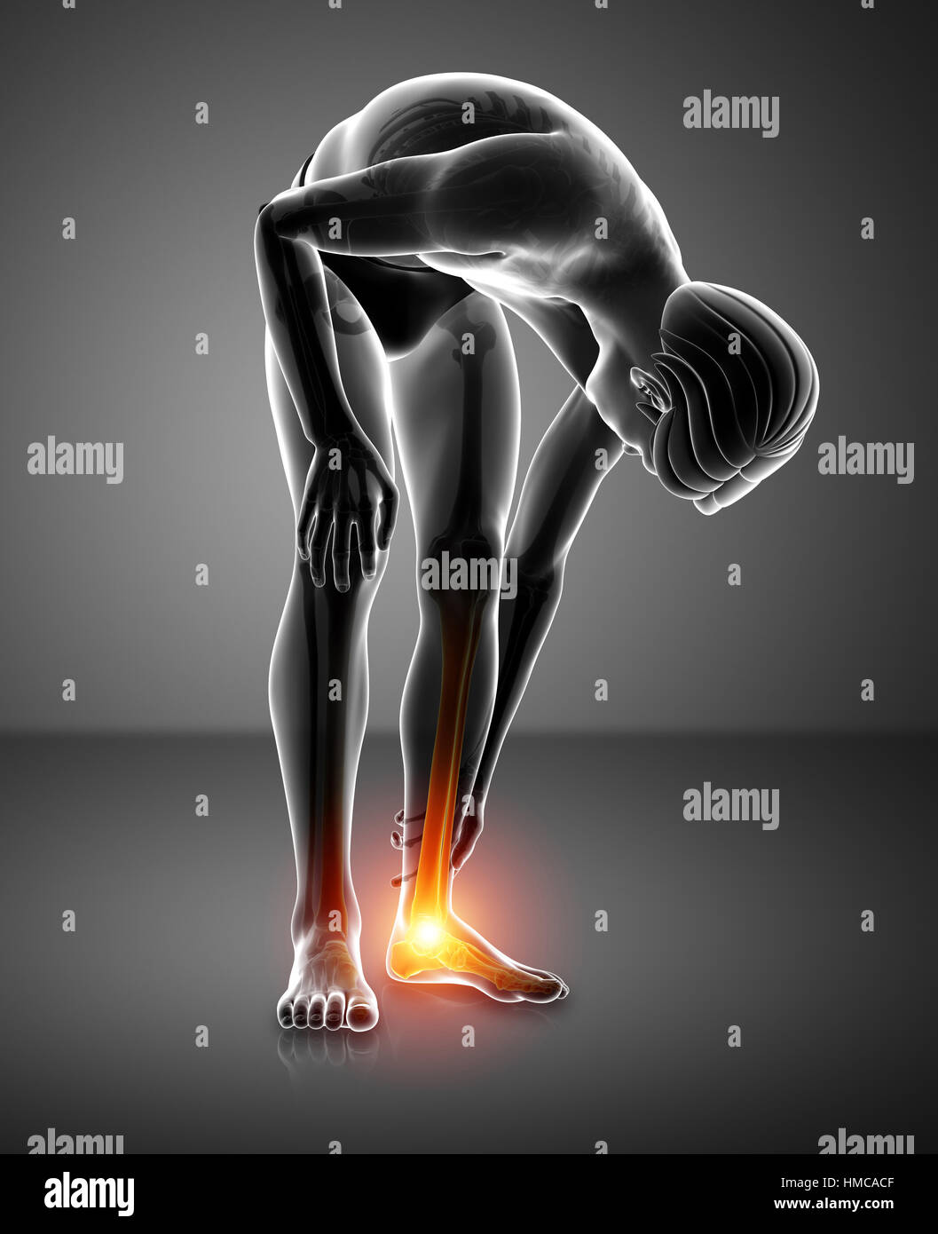 human body anatomy with joint pain Stock Photo - Alamy