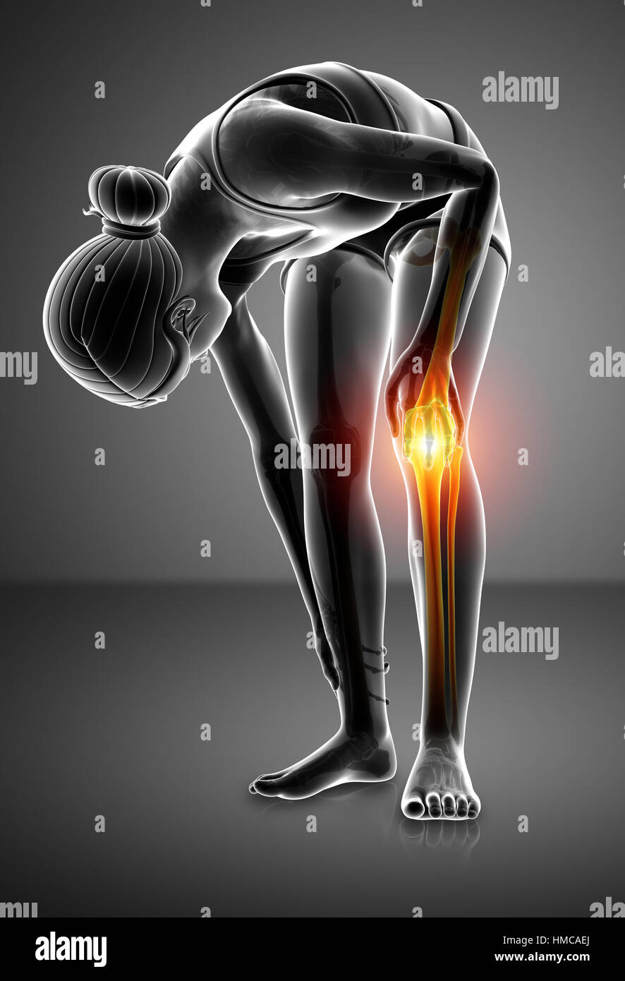 Anatomy female motion hi-res stock photography and images - Alamy