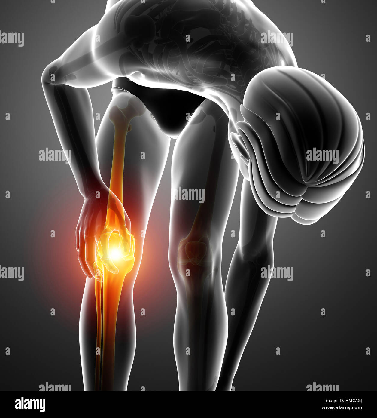 human body anatomy with joint pain Stock Photo - Alamy