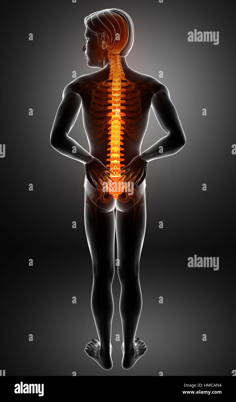 human body anatomy with joint pain Stock Photo - Alamy