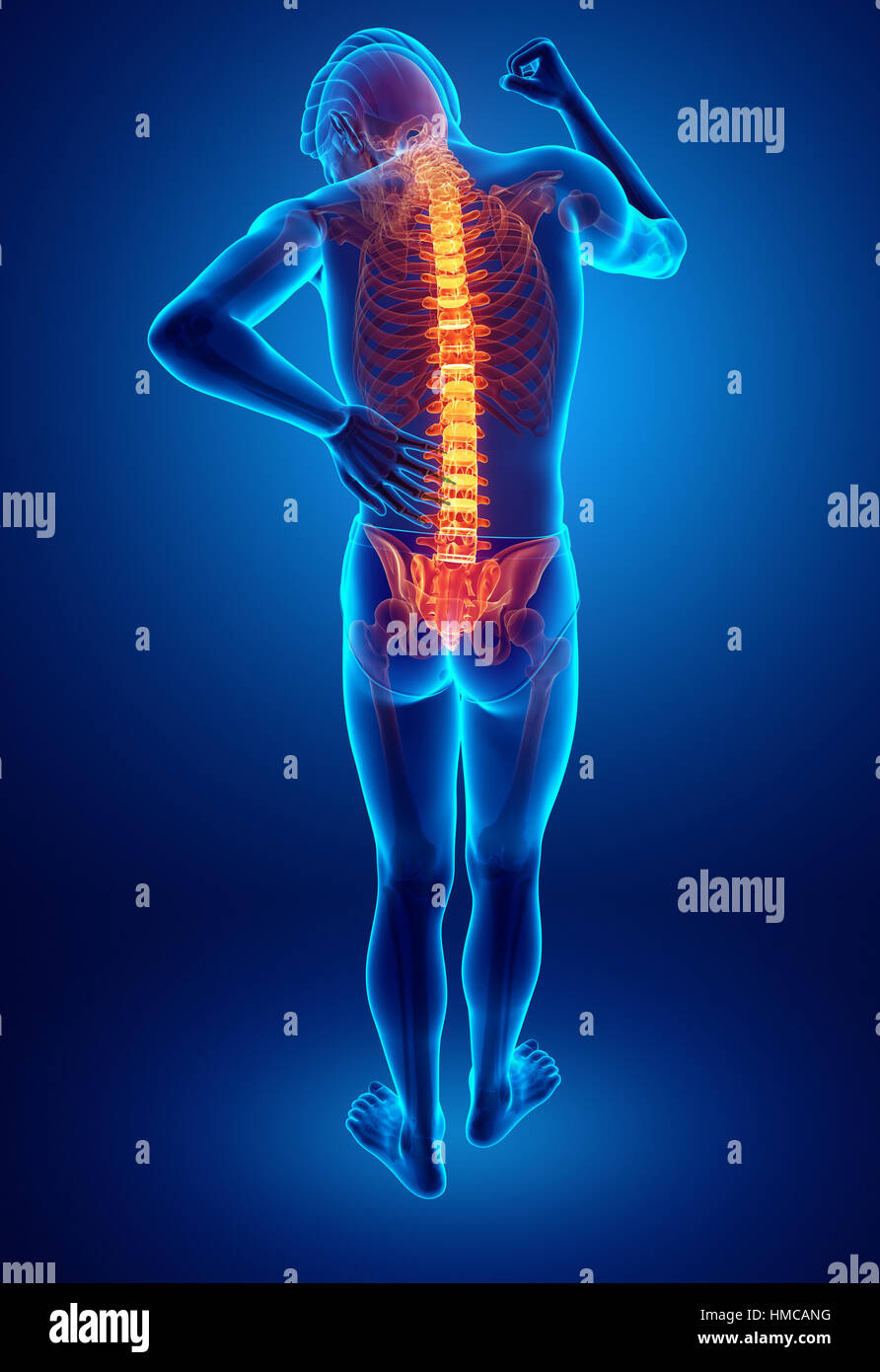 human body anatomy with joint pain Stock Photo - Alamy