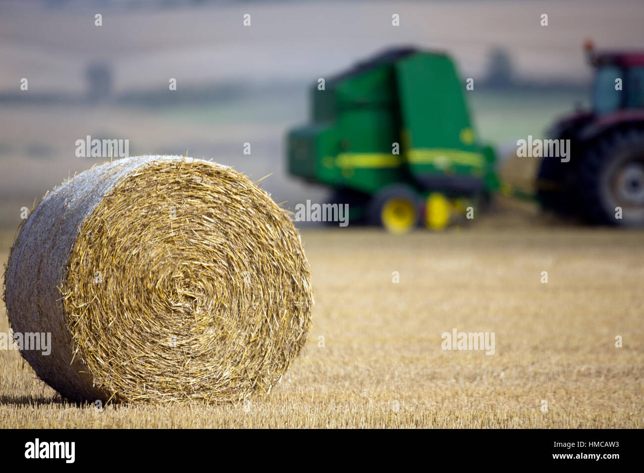 Round straw bales on farmland Stock Photo - Alamy