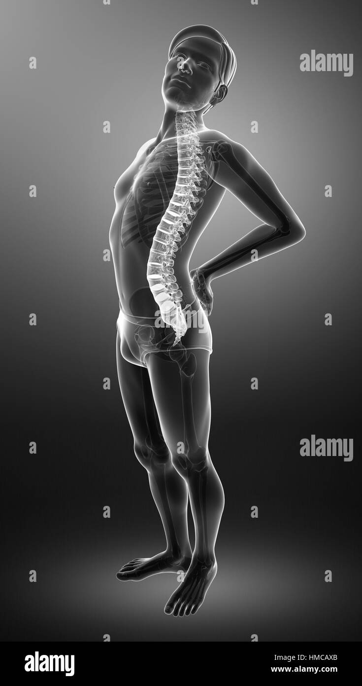 human body anatomy with joint pain Stock Photo - Alamy
