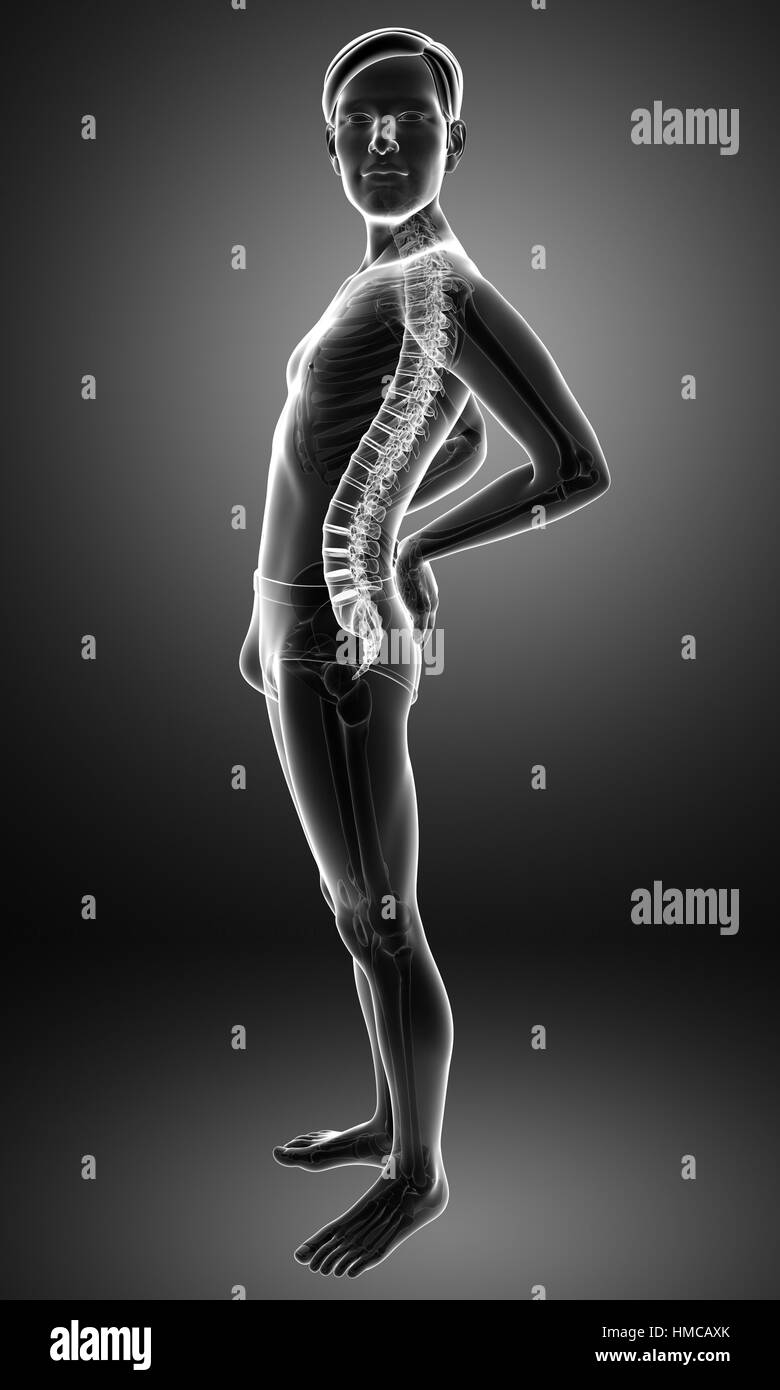 human body anatomy with joint pain Stock Photo - Alamy