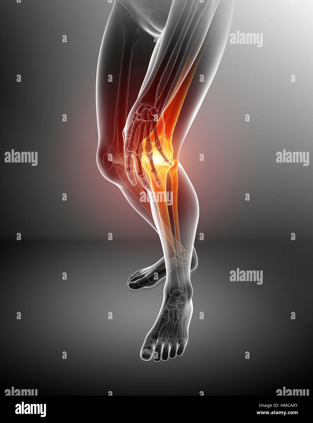 human body anatomy with joint pain Stock Photo - Alamy