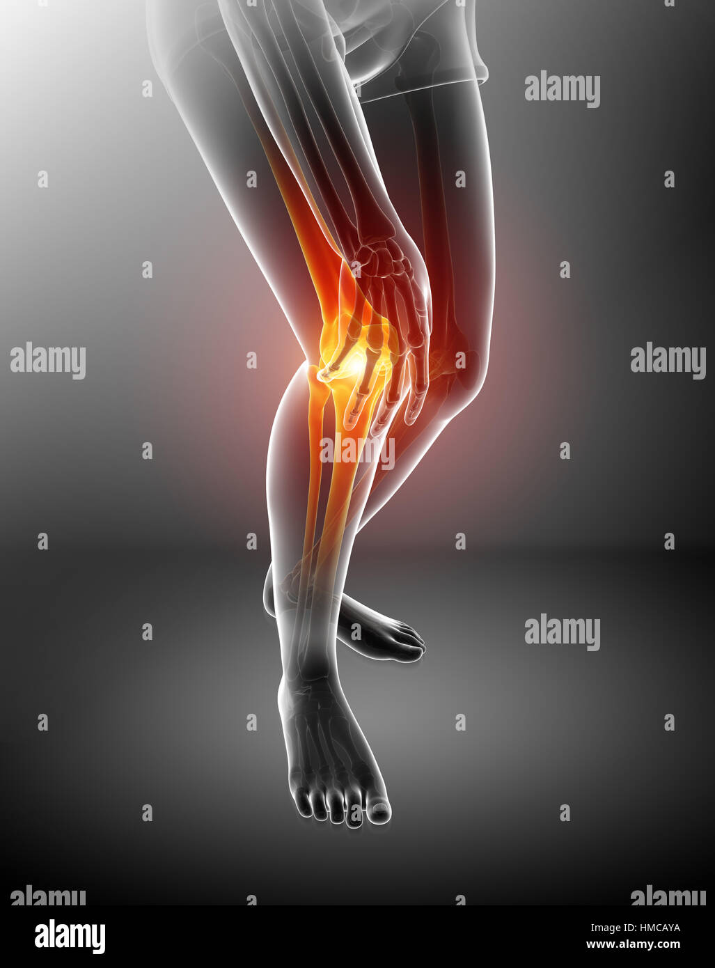 human body anatomy with joint pain Stock Photo - Alamy