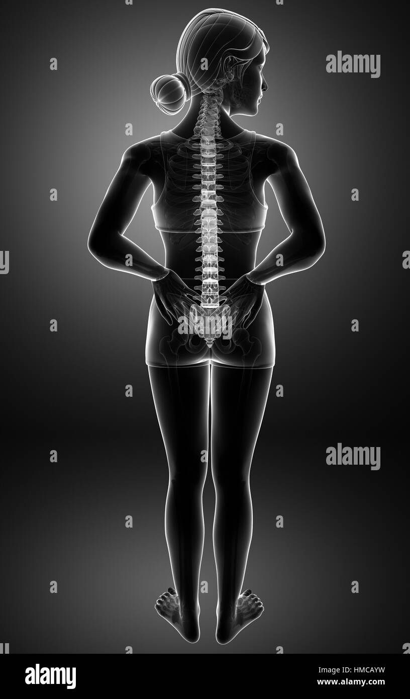 human body anatomy with joint pain Stock Photo - Alamy