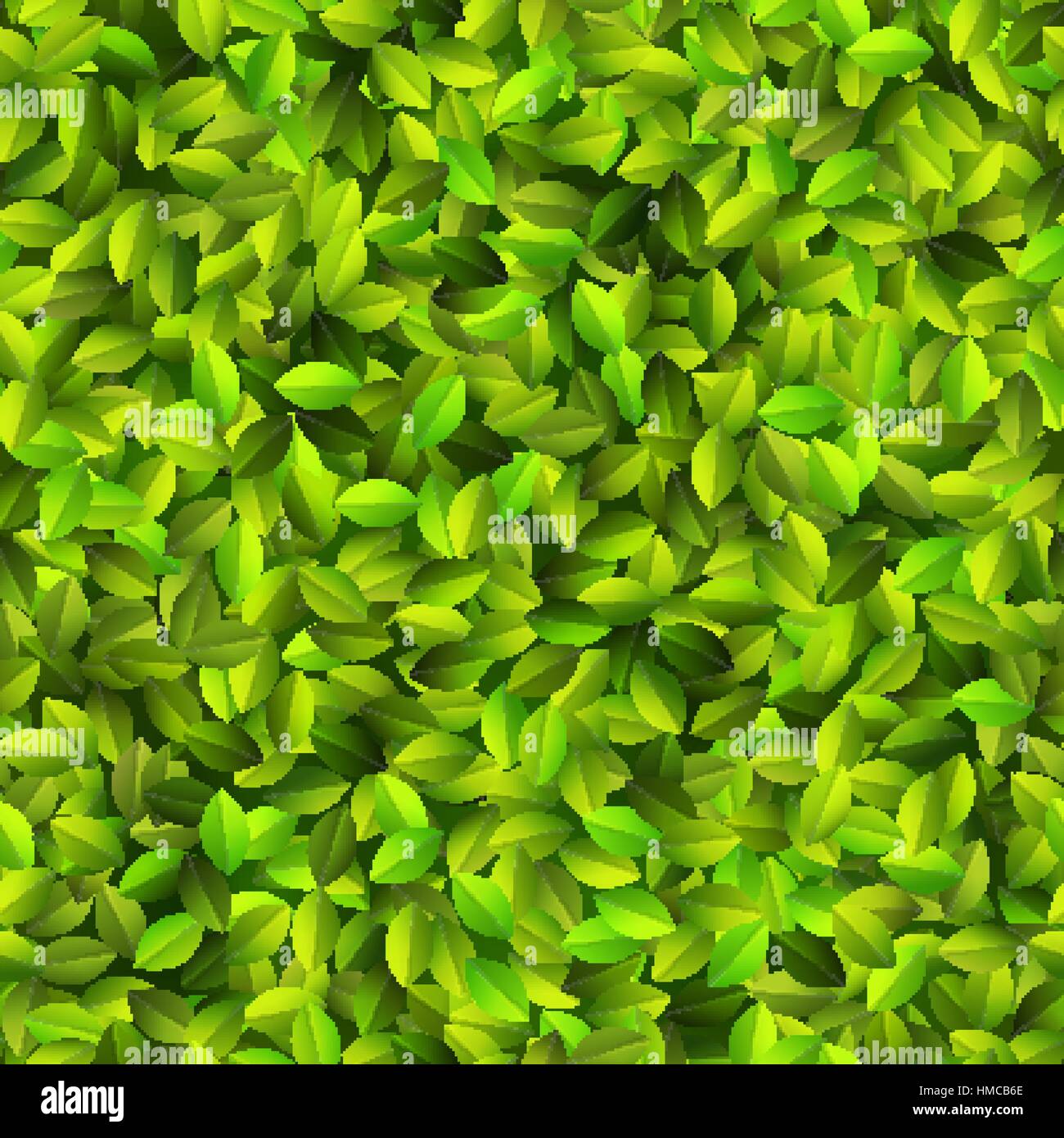 Leaves Texture Seamless White Seamless Texture With Light Green Leaves