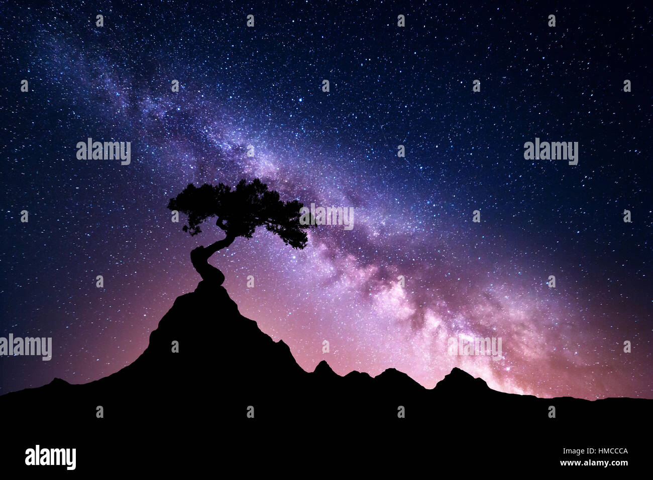Milky Way and tree on the mountain. Old tree growing out of the rock ...