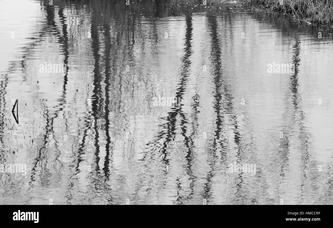 Trees reflection in the water Stock Photo - Alamy